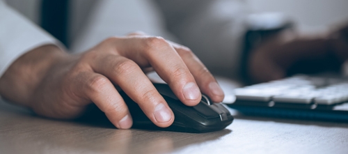 Branchen-Software / Warenwirtschaft